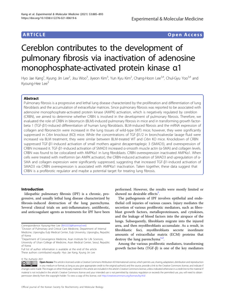 2021, CRBN, Lung Fibrosis, AMPK | PDF | Transforming Growth Factor Beta ...