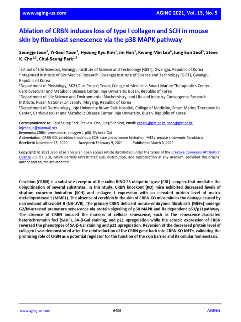 2021, CRBN, Cell Senescence, p38MAPK | PDF | P53 | Cellular Processes