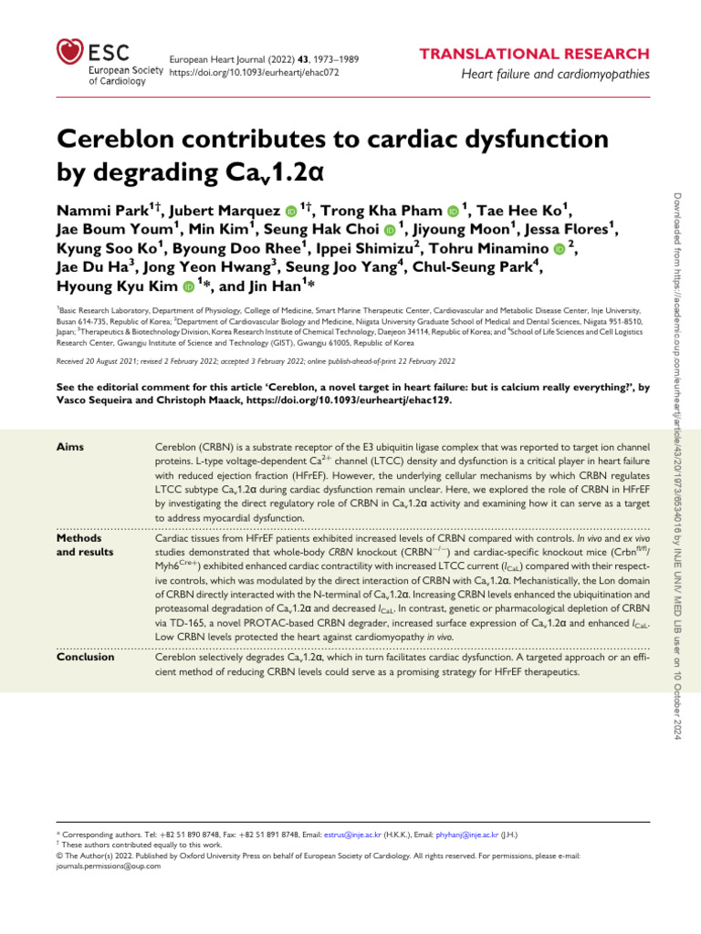 2022, CRBN, Heart, Ca1.2 Chanel, Lab | PDF | Heart Failure | Ventricle (Heart)
