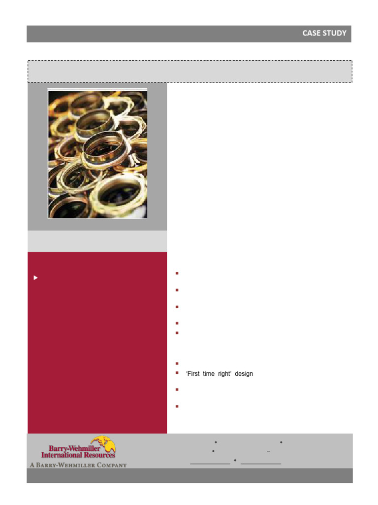 BWIR Casestudy GRIEF CAD Services | PDF | Computing