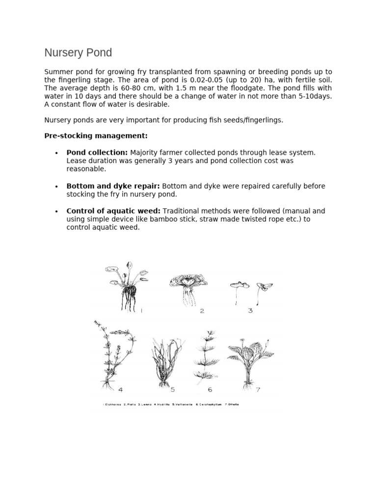 Nursery Pond Management | PDF | Fertilizer | Manure