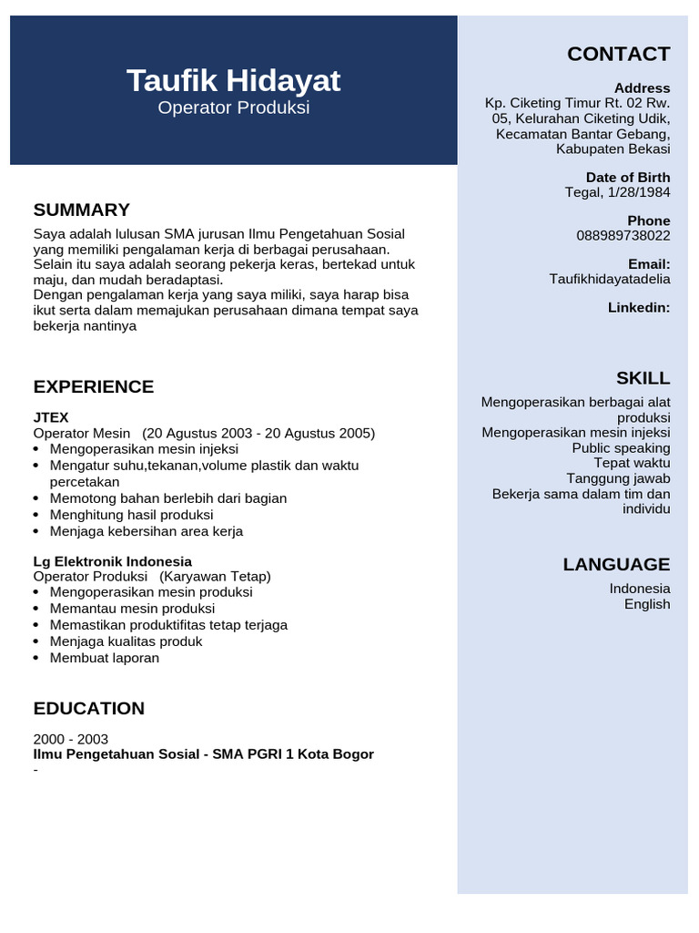 CV Taufik Hidayat | PDF