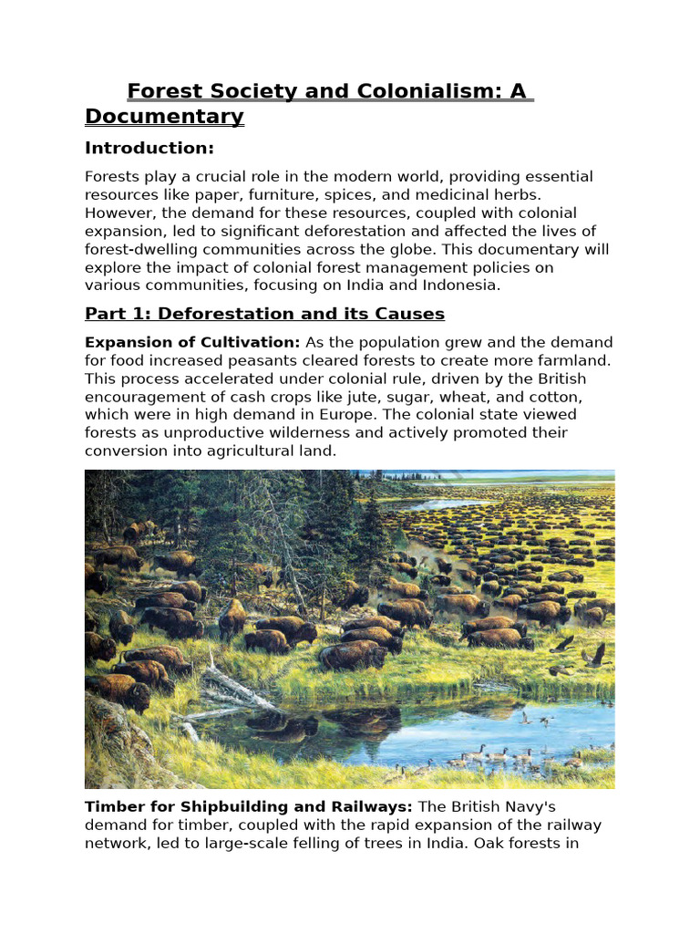 Colonial Forest Impact Documentary | PDF | Forests | Forestry