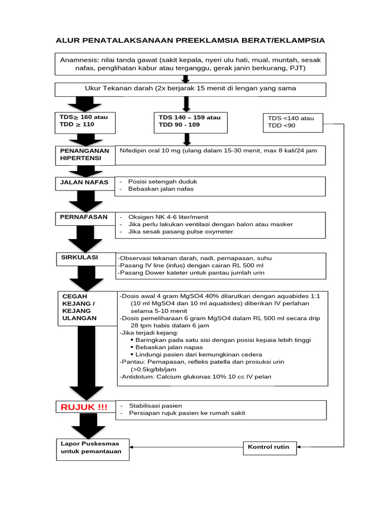 Alur Penatalaksanaan Preeklamsia Berat - Eklampsia | PDF