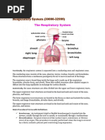 CPT Code Descriptions and ASA Crosswalk | PDF