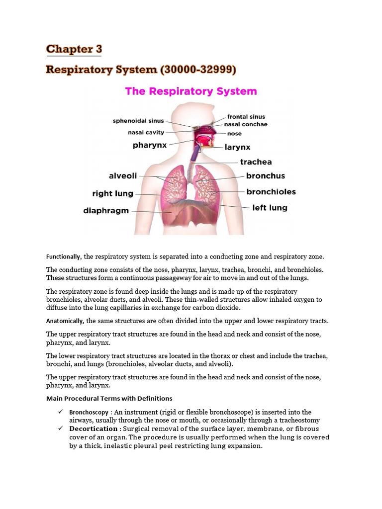 CPT - Chapter 3 Respiratory | PDF | Respiratory Tract | Medical Specialties