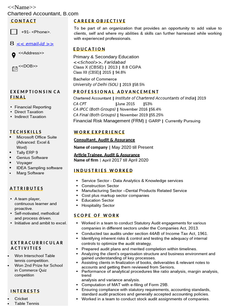 CV Format 9 | PDF | Audit | Accounting