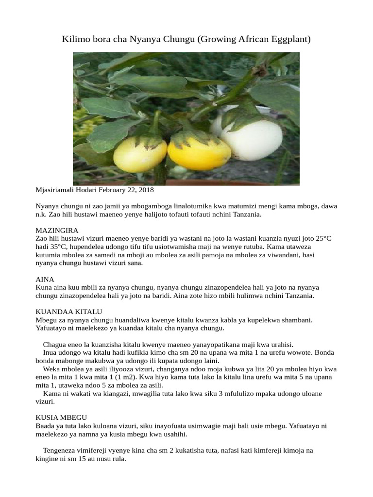 Kilimo Cha Nyanya Chungu | PDF