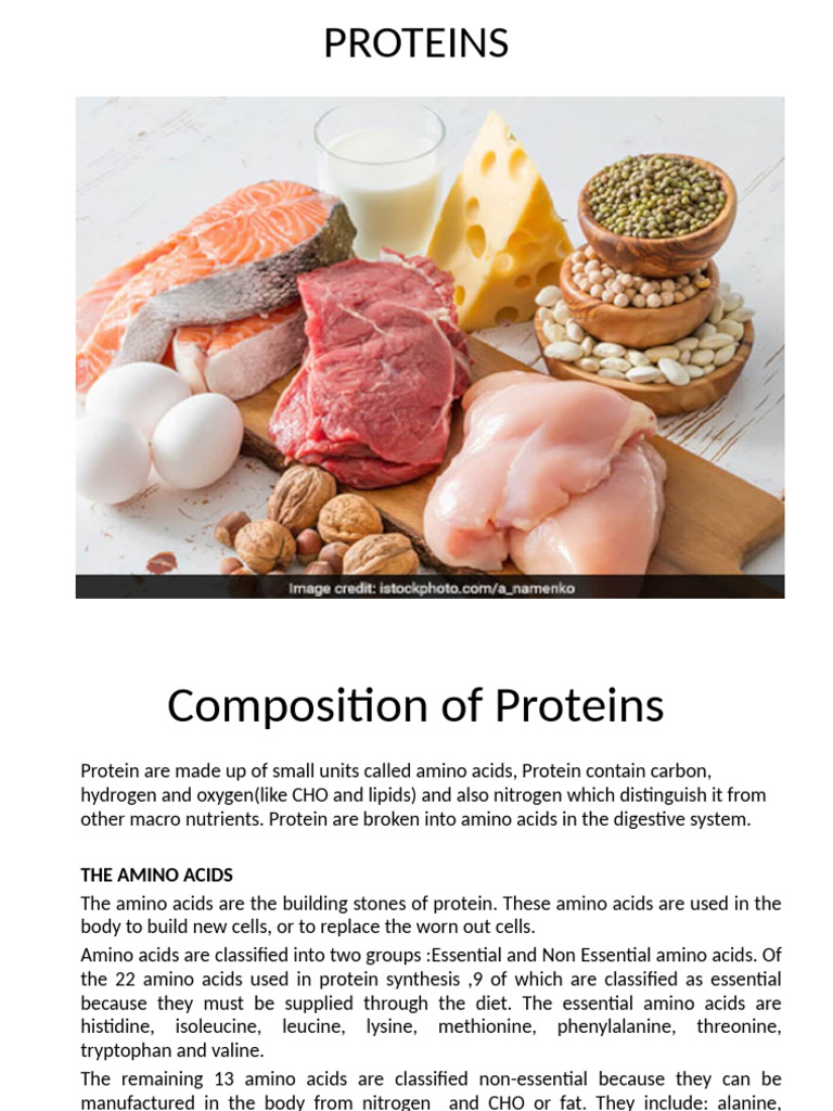 Nutrition Lesson 3 Protein | PDF | Digestion | Amino Acid