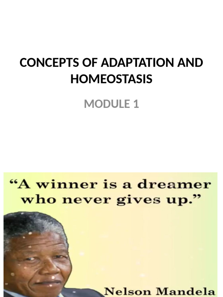 The Concepts of Adaptation and Homeostasis Modular Slides | PDF ...