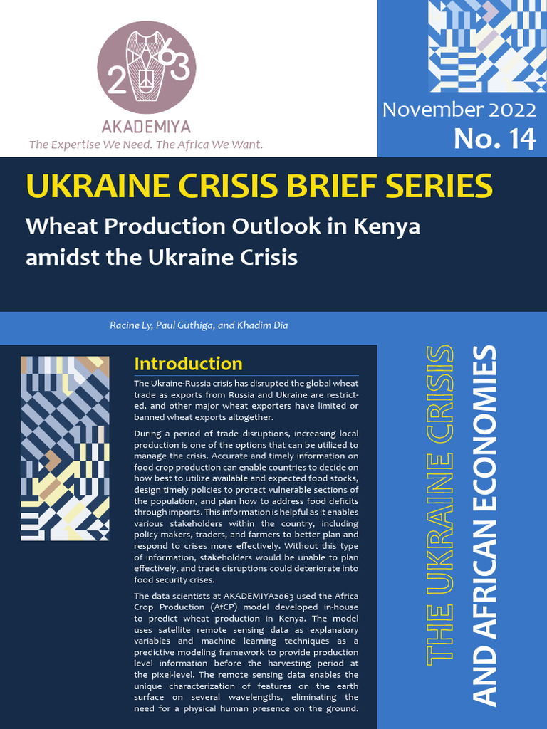 Brief-14-AKADEMIYA2063 Ukraine Crisis Brief Series | PDF | Dependent ...
