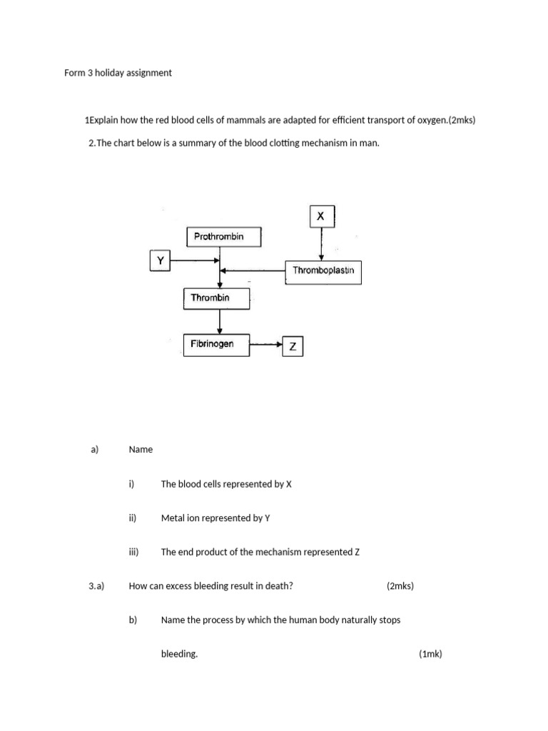 Form 3 Bio Holiday Assignment | PDF | Blood | Genotype