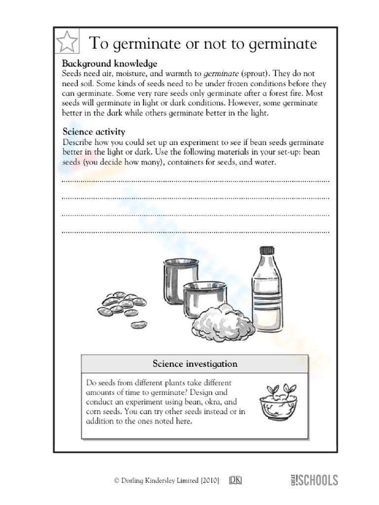 Stages of Seed Germination | PDF
