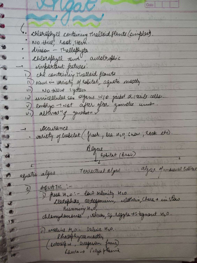 Algae - Plant Diversity Notes | PDF