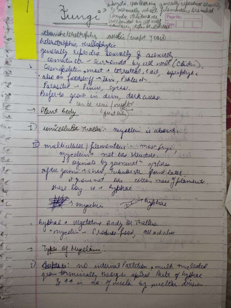 Fungi - Plant Diversity Notes | PDF