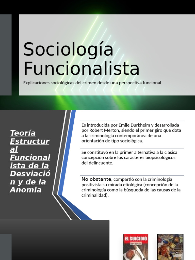 Sociología Funcionalista | PDF | Criminología | Crímenes