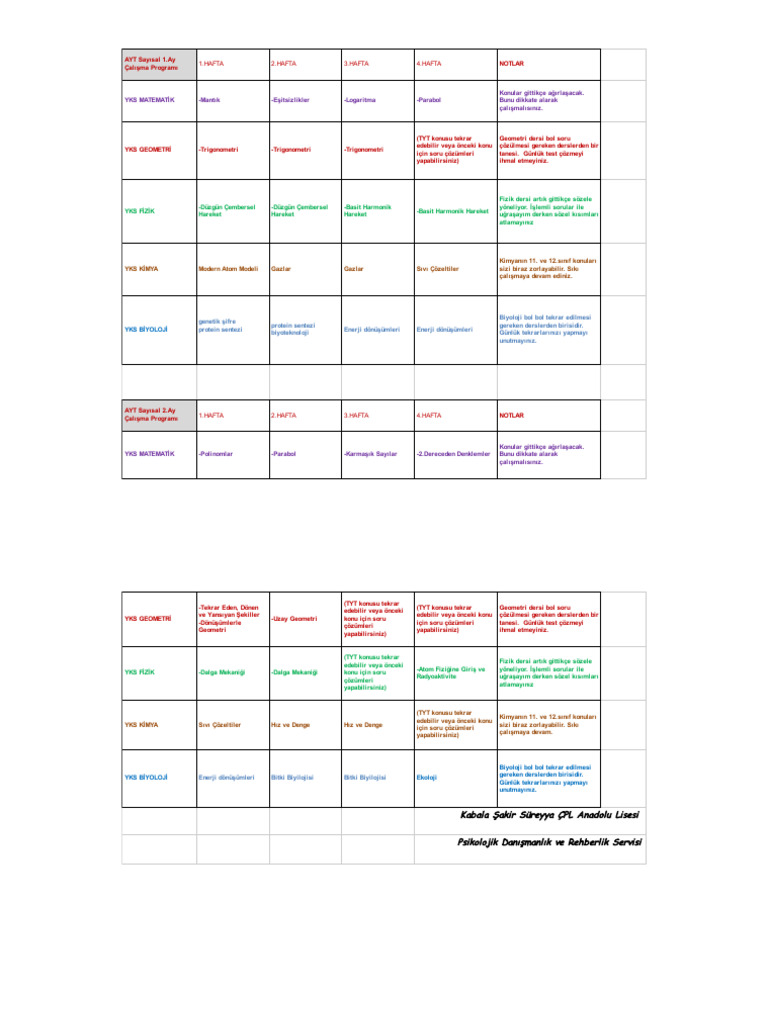 AYT Sayisal 4 Aylik Plan | PDF