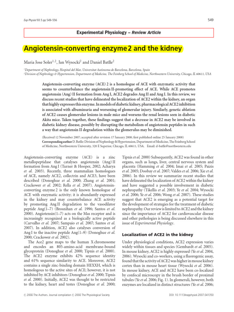 Angiotensin-Converting Enzyme2 and The Kidney | PDF | Angiotensin | Kidney