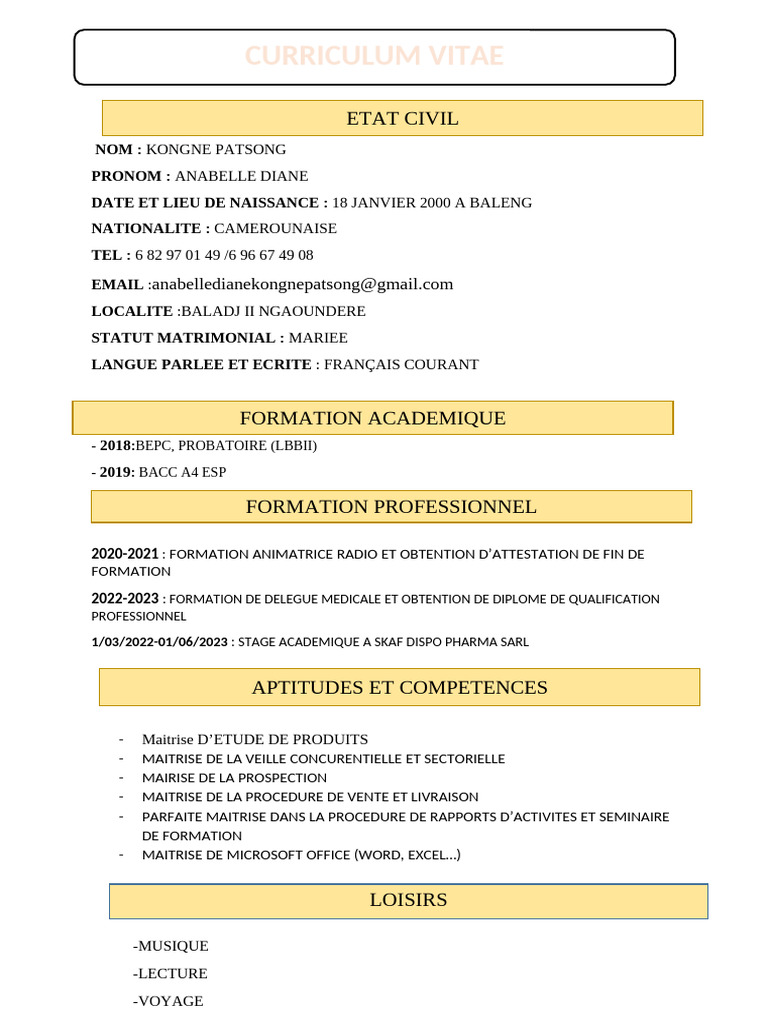 CV Anabelle Diane Kongne Patsong | PDF