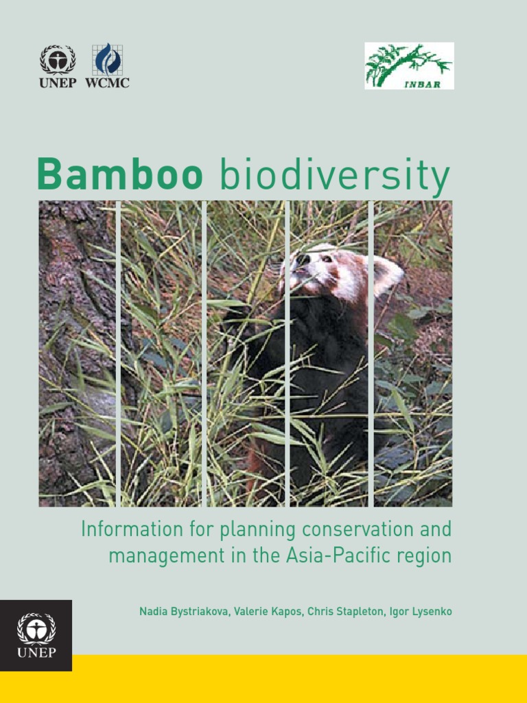 Bamboo | PDF | Bamboo | Conservation Biology
