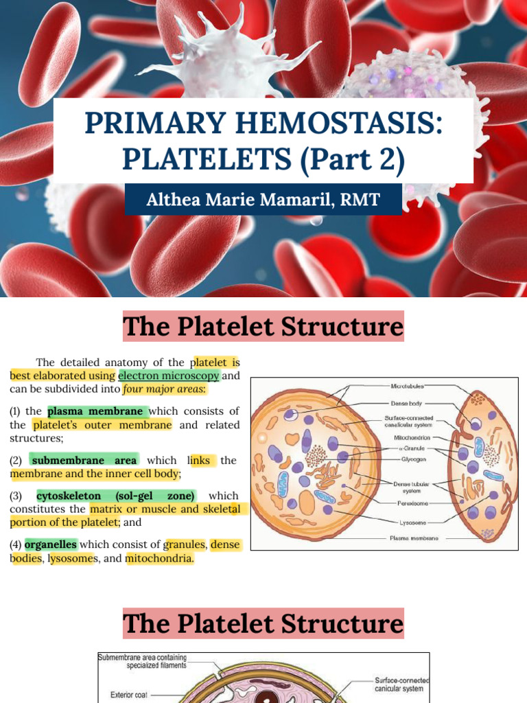 PLATELET-STRUCTURE | PDF | Platelet | Coagulation