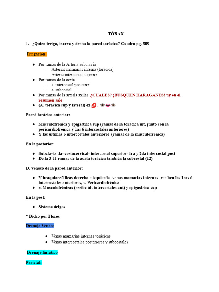 Guia Macro IV | PDF | Corazón | Abdomen