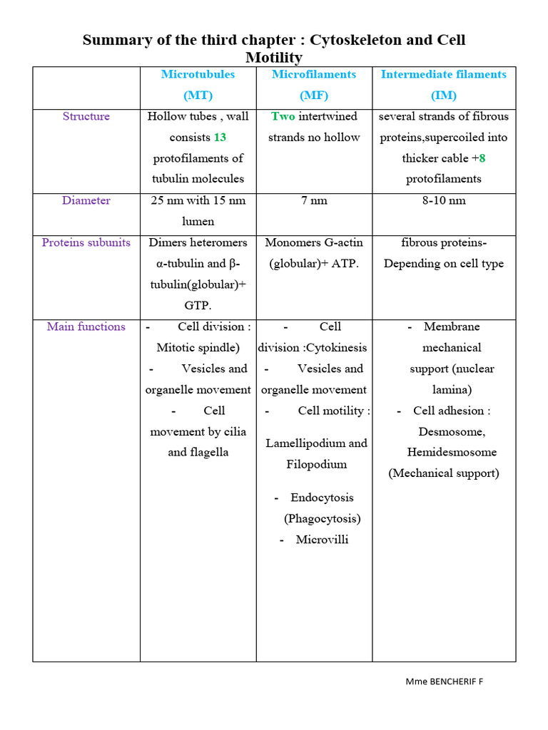 Cytoskeleton and Cell Motility | PDF
