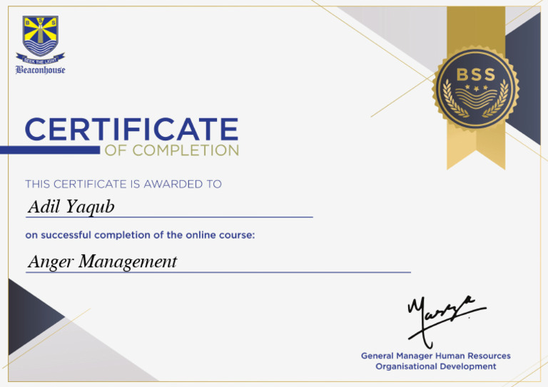 Training Completion Certificate | PDF