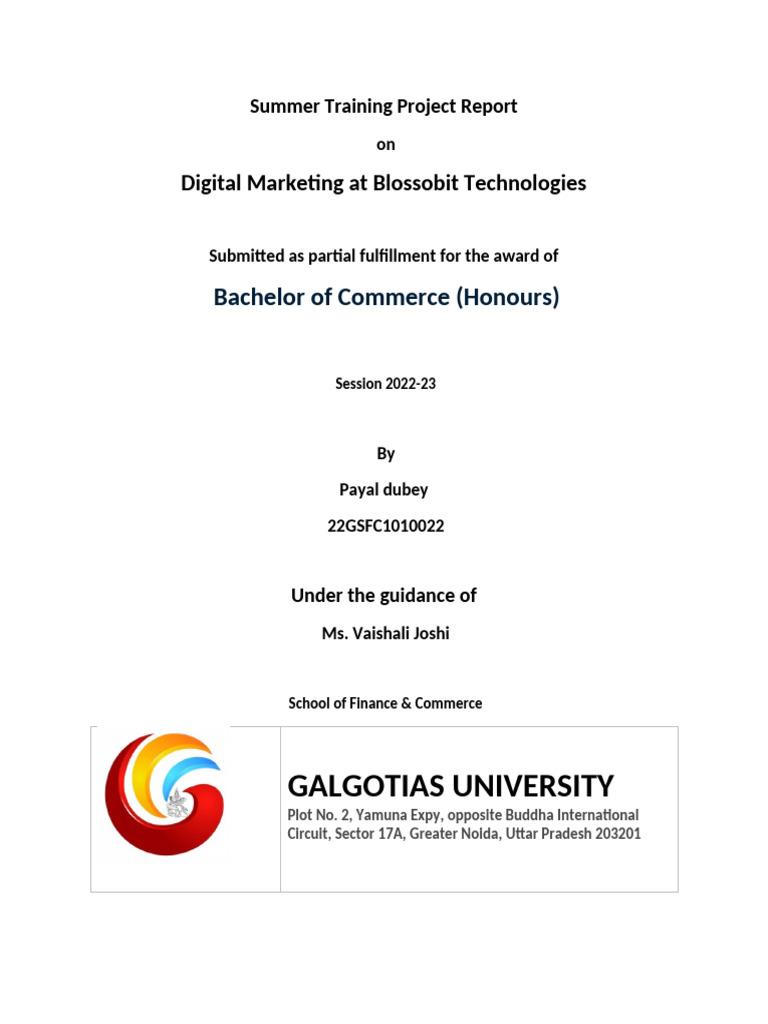 MY SIP REPORT-2 | PDF | Digital Marketing | Search Engine Optimization