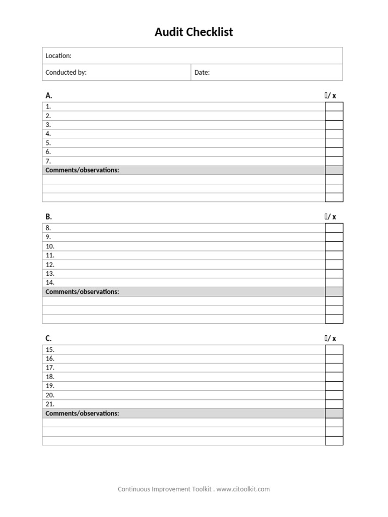 Audit Checklist for Professionals | PDF
