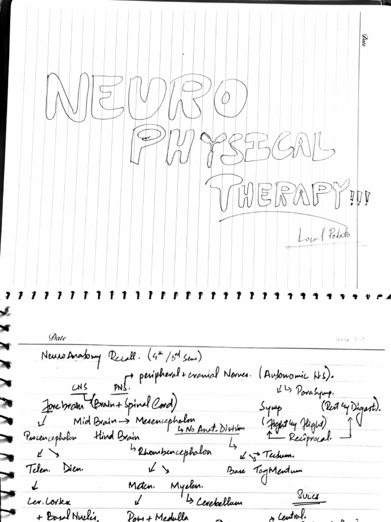 Neuro PhysioTherapy Notes | PDF