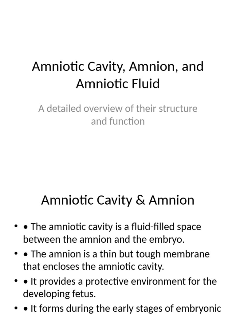 Amniotic Cavity Amnion Amniotic Fluid No Images | PDF