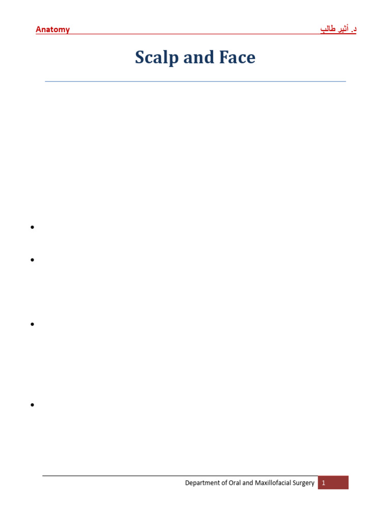 Anatomy Scalp | PDF | Vein | Human Nose