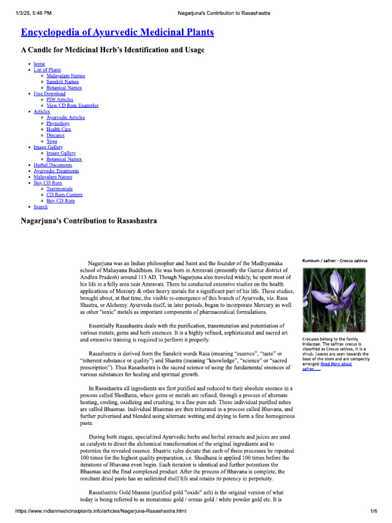 Nagarjuna's Contribution | PDF