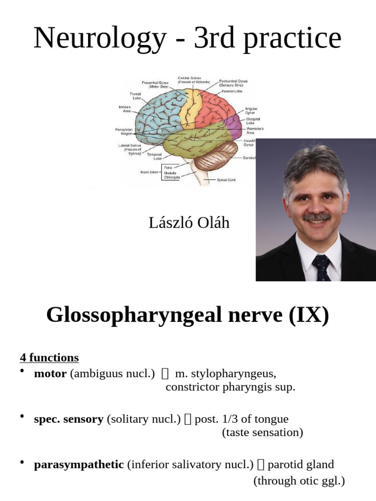 3rd Practice Neurology | PDF | Motor Neuron | Vagus Nerve