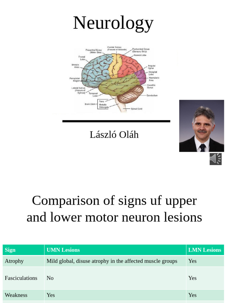 4th Practice Neurology | PDF | Cerebellum | Nervous System
