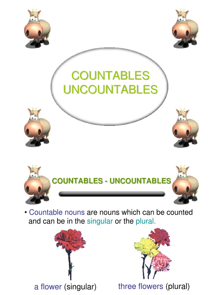 countables_uncountables | Noun | Plural