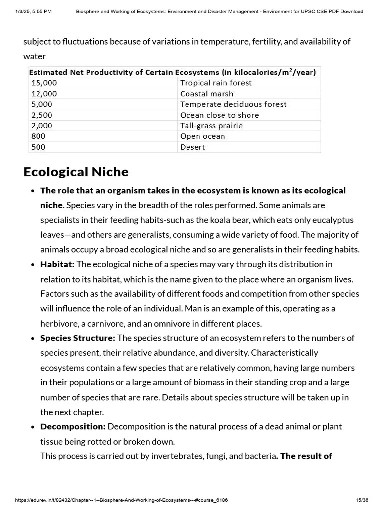 Understanding Ecosystem Dynamics and Decomposition | PDF ...