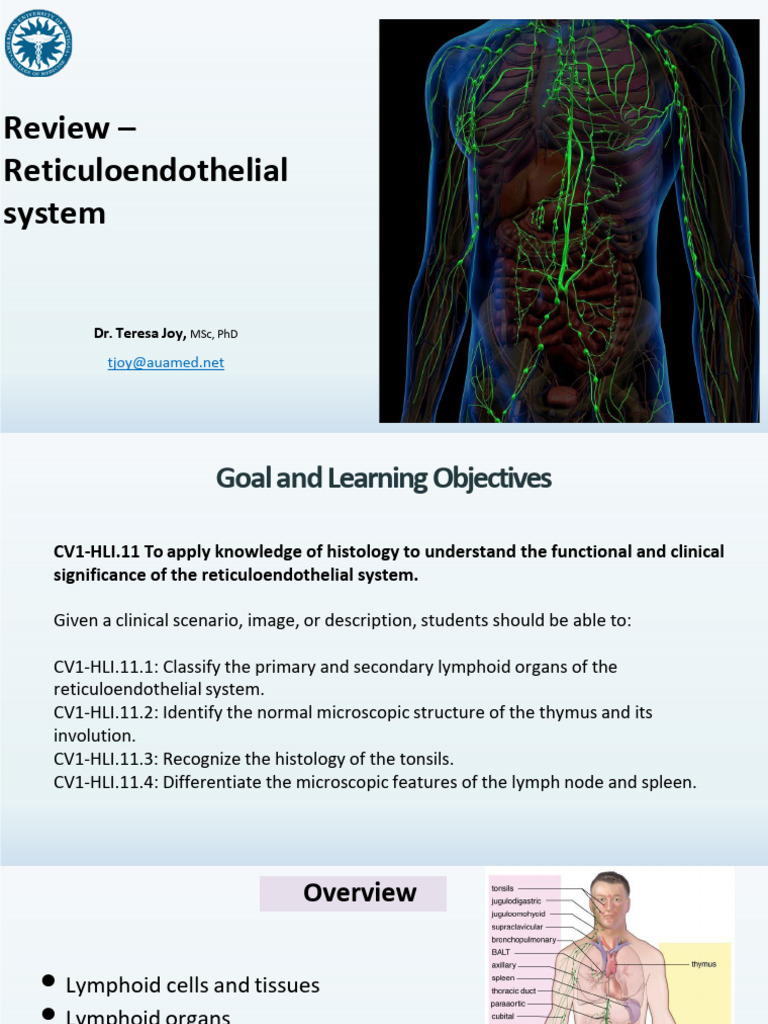 CV1-HLI.11 - RES Histology Dr. Joy - Review | PDF