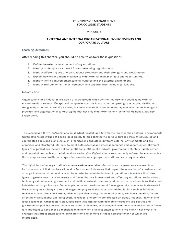 Internal vs External Fit in Organizations | PDF | Organizational ...