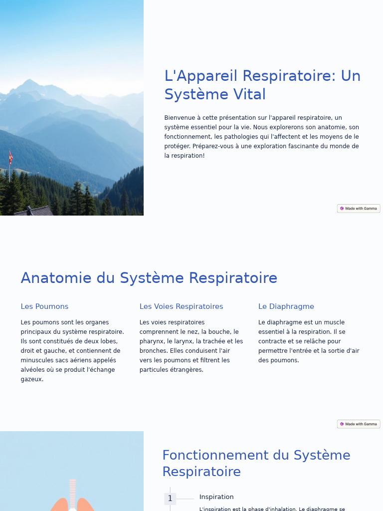 Anatomie et Santé de l'Appareil Respiratoire | PDF | Système ...