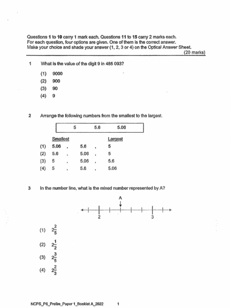 P6 Maths Prelim 2022 NanChiau Exam Papers Removed | PDF