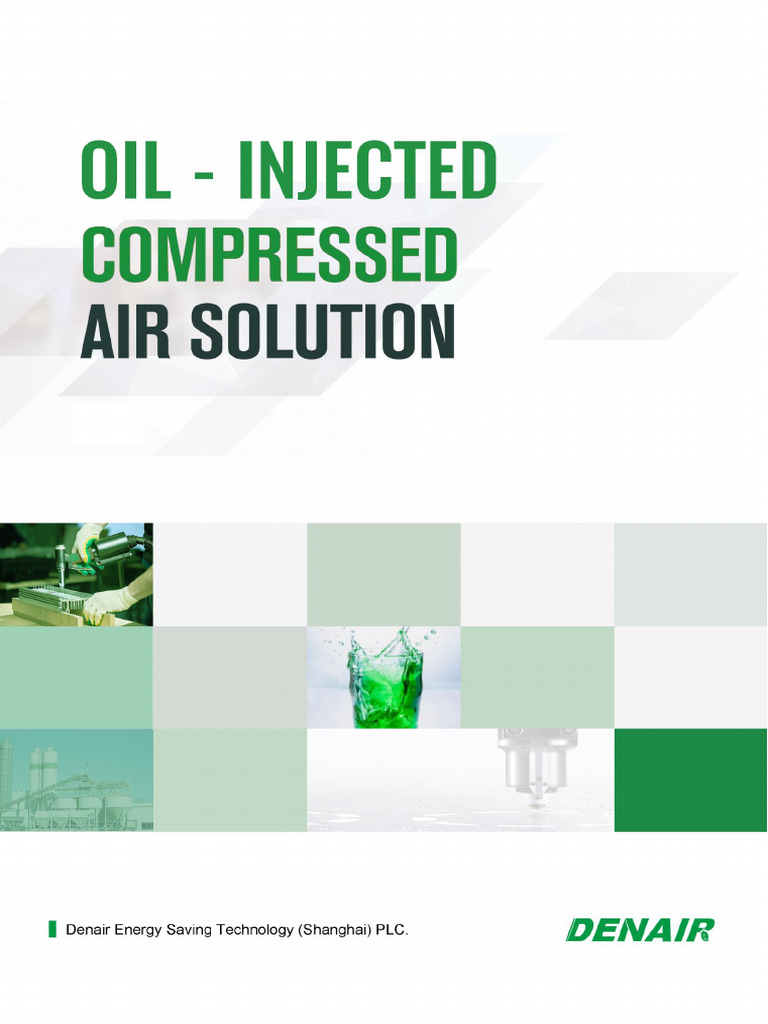 DENAIR Oil Injected DVA-132 TECHNICAl PROPOSAL | PDF | Energy ...