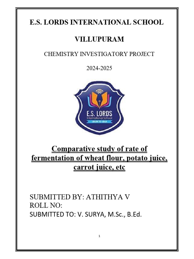 final chemistry project | PDF | Fermentation In Food Processing | Yeast
