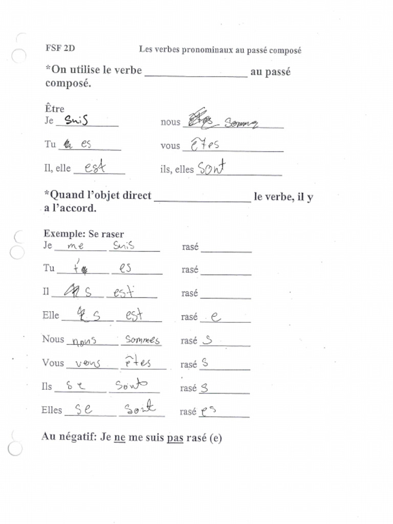 Les Verbes Pronominaux Au Passe | PDF