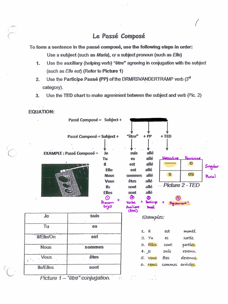 Passé Composé Avec Être - Corrigé | PDF