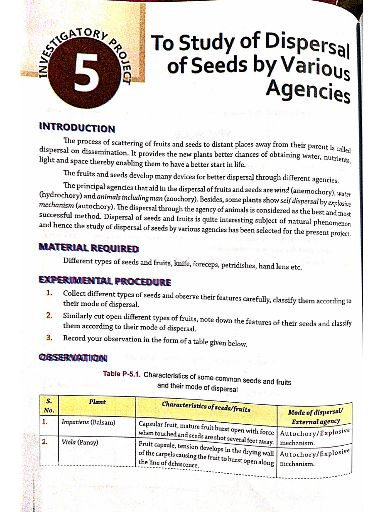 DocScanner Oct 16, 2024 6-08 PM | PDF