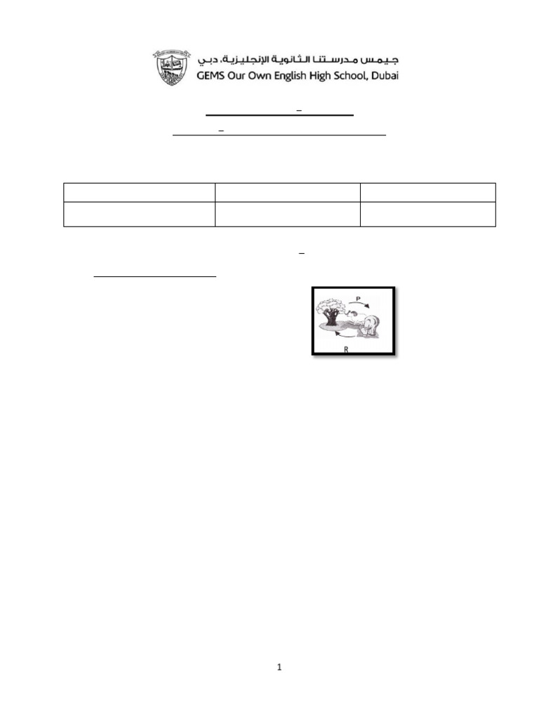 Grade 4 Science Revision Worksheet | PDF | Leaf | Plants