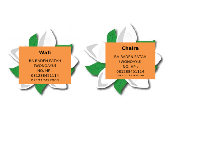 Id Card Han 24 | PDF