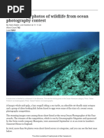 SOCO Procedure | PDF | Crime Scene | Forensic Science